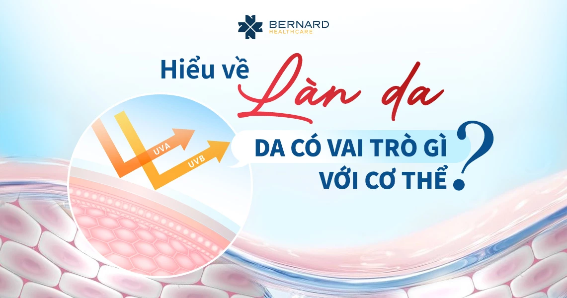 VAI TRÒ CỦA LÀN DA ĐỐI VỚI CƠ THỂ: KHÔNG CHỈ LÀ HÀNG RÀO BẢO VỆ